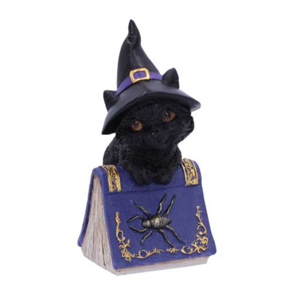 Pocus Small Witches Familiar Black Cat and Spellbook Figurine - Own4Less